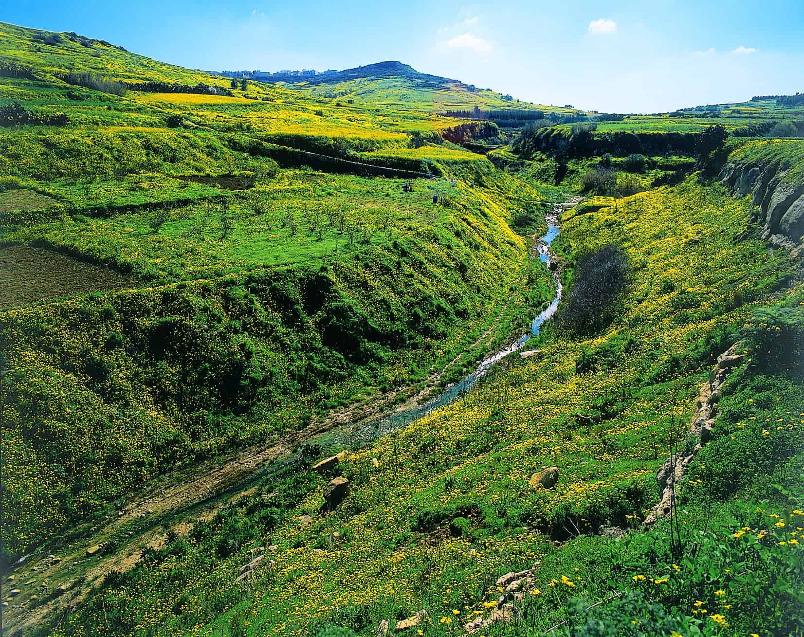 Visiter Malte, Le Guide Essentiel de Malte - www.visiter-malte.com